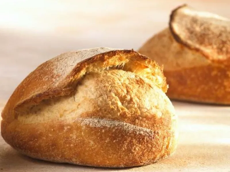 Filoni Bread - Puratos